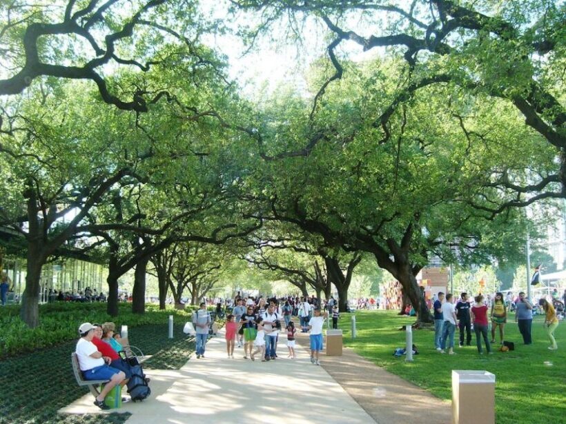Houston: City Sightseeing Tour by Electric Cart - The Sum Up