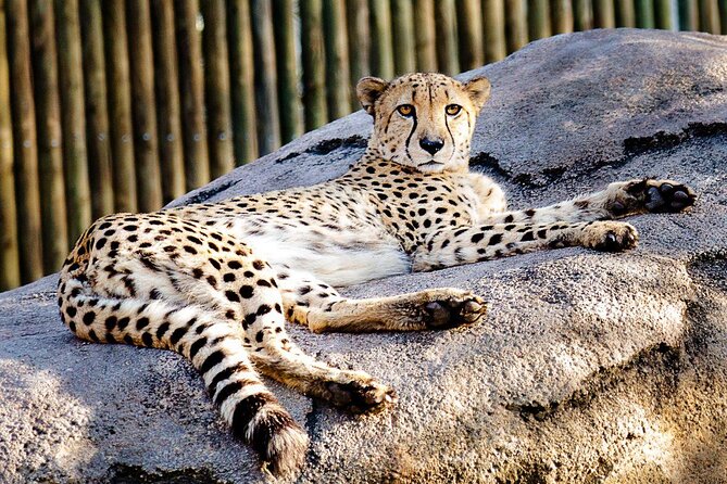 Houston CityPASS® - Key Points