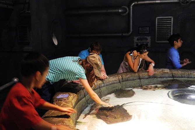 Houston CityPASS® - Final Thoughts