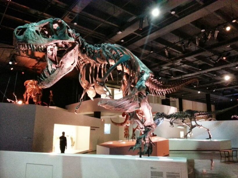 Houston CityPASS®: Save up to 51% at 5 Top Attractions - Authentic Traveler Perspectives