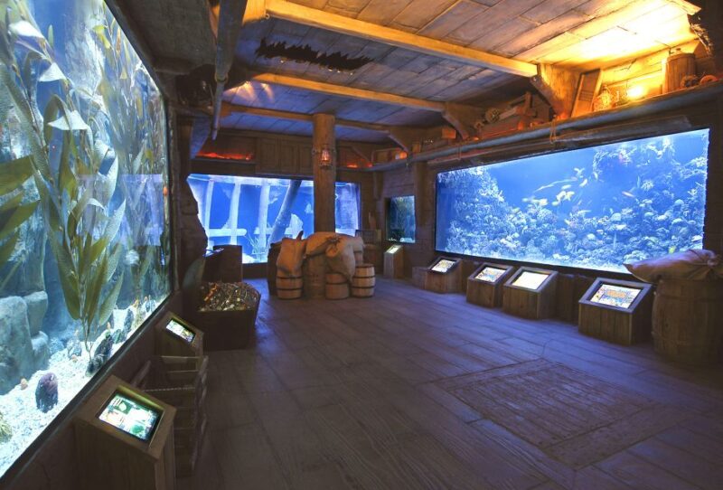 Houston CityPASS®: Save up to 51% at 5 Top Attractions - What We Appreciate and What to Consider