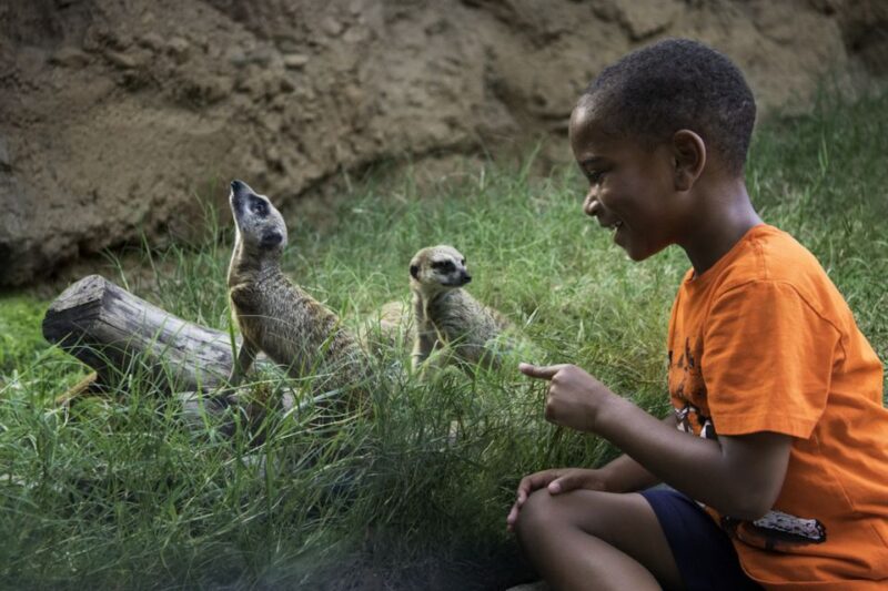 Houston CityPASS®: Save up to 51% at 5 Top Attractions - FAQ