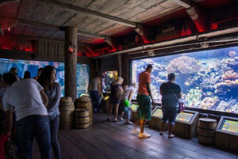 Houston: Downtown Aquarium All Day Pass - Exploring the Aquarium Exhibits