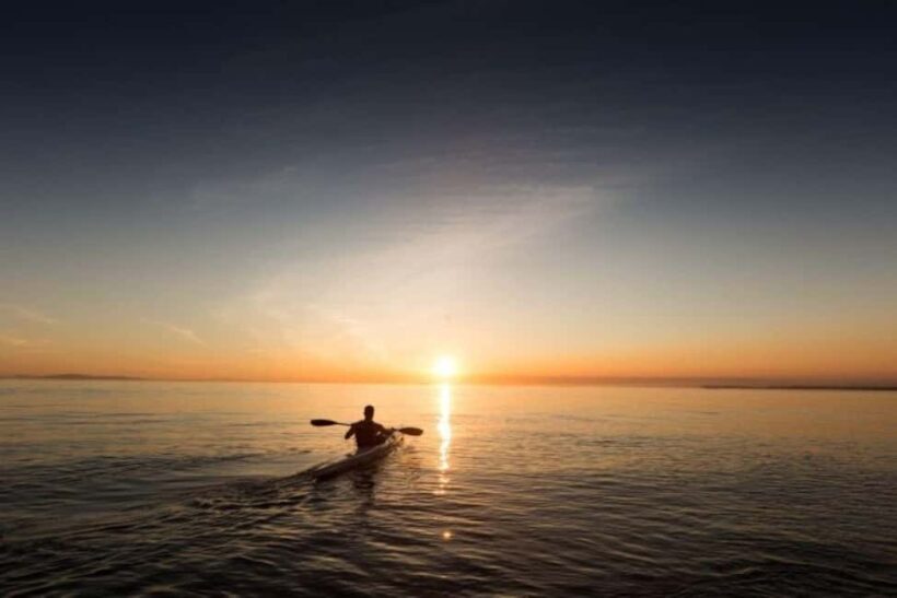 Houston: Kayak and Paddleboard Rental - Key Points