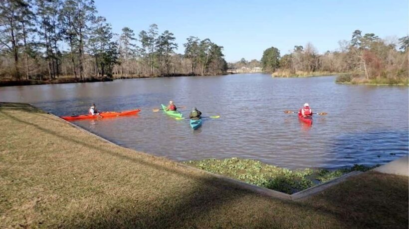 Houston: Luce Bayou Kayaking Tour - What to Expect from the Luce Bayou Kayaking Tour