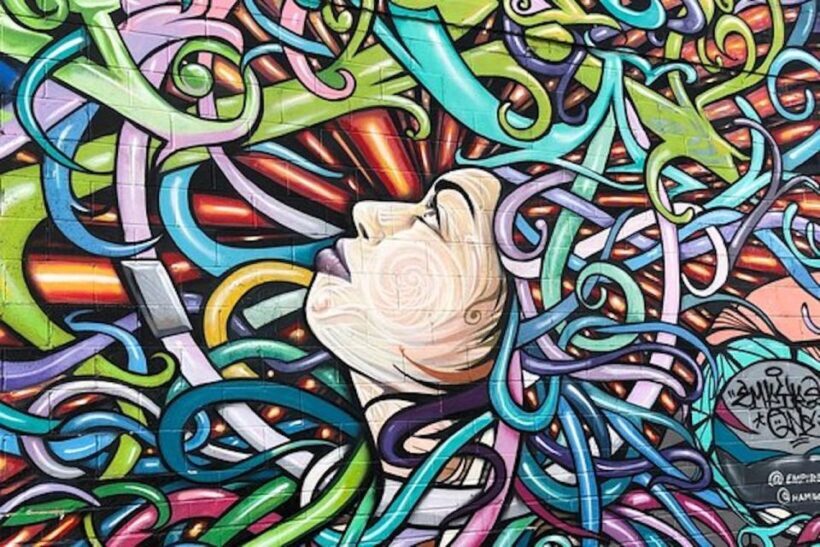 Houston: Mural Tour by Electric Cart - Key Points