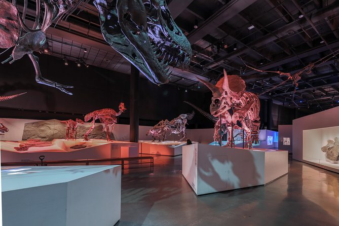 Houston Museum of Natural Science General Admission - Admission Pricing and Policies