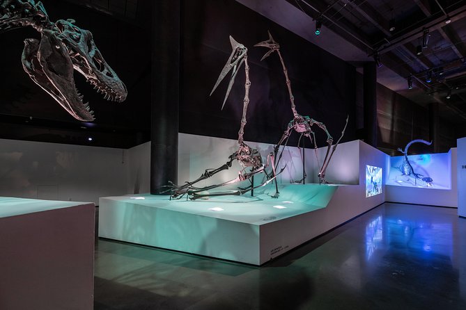 Houston Museum of Natural Science General Admission - Opening Hours and Accessibility