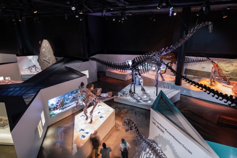 Houston Museum of Natural Science General Admission Ticket - Who Will Love This Experience