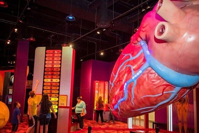 Houston Museum Pass - Final Thoughts