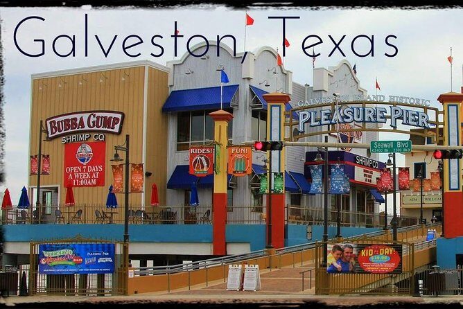 Houston Sightseeing Tour and Galveston Day Trip - Who Would Love This Tour?