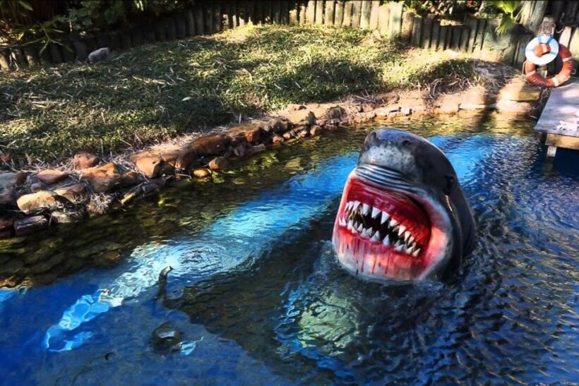 Houston Tour and Aquarium Ticket - A Balanced Perspective: The Good and the Not-So-Good