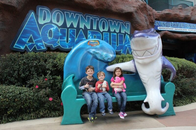 Houston Tour and Aquarium Ticket - FAQs