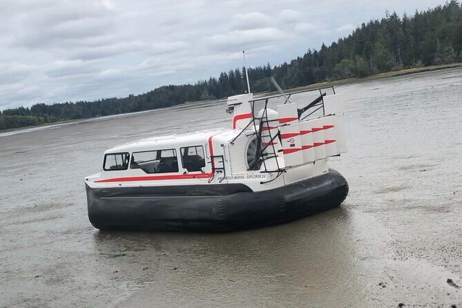 Hover Craft Scenic Tour in Talkeetna, Alaska - The Practical Aspects: What You Need to Know