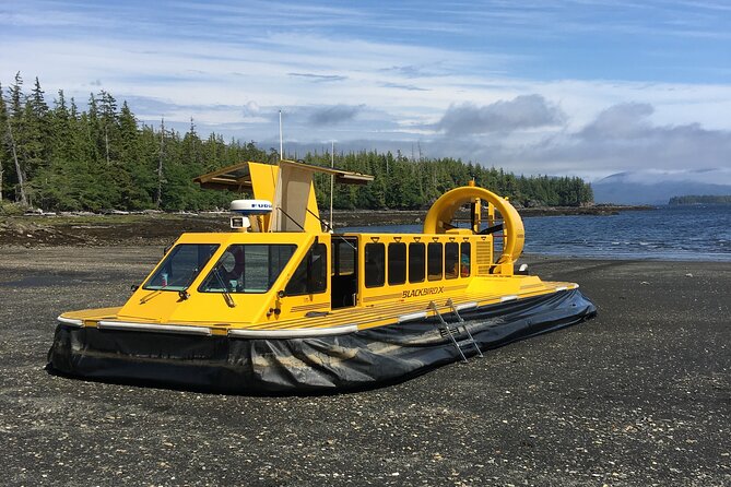 Hovercraft Eco Adventure and Wildlife Viewing - Convenient Meeting and Pickup Options