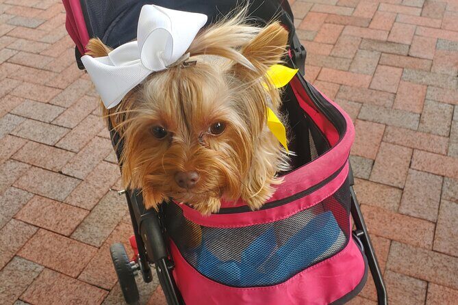 Howl O Ween Doggy Costume Party Cruise - Frequently Asked Questions