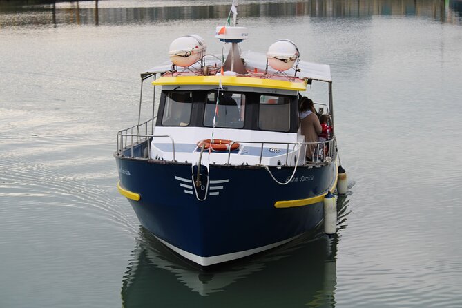 Howth Cliff Cruises - Exploring the Coastline and Natural Scenery