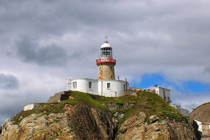 Howth Cliff Cruises - Encountering Wildlife Along the Cliffs