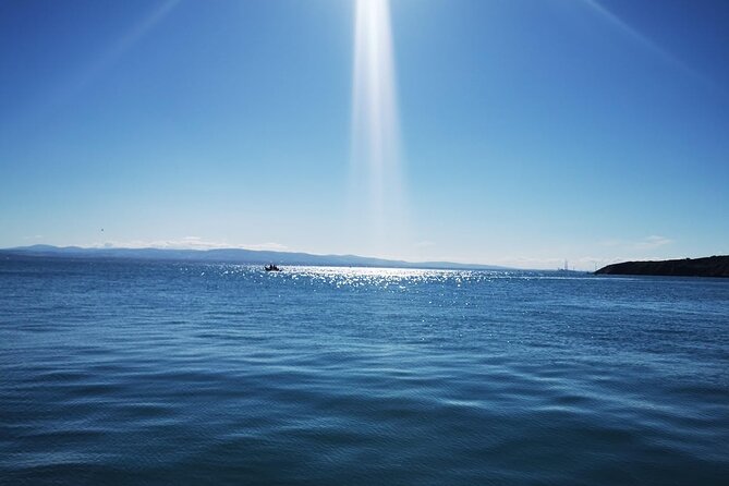 Howth Cliff Cruises - Duration and Accessibility Considerations