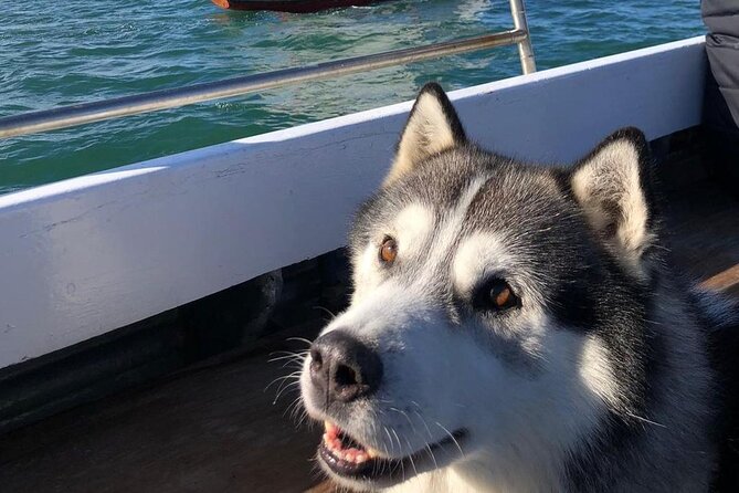 Howth Cliff Cruises - Booking and Reservation Information