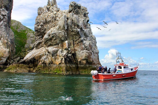 Howth Coastal Boat Tour (Irelands Eye Ferries 50 Mins Trip) - Key Points