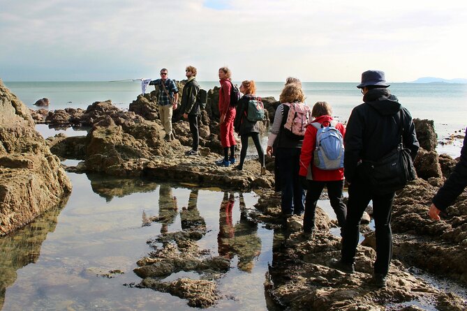 Howth Safari Hiking Tour - Authentic Perspectives from Travelers