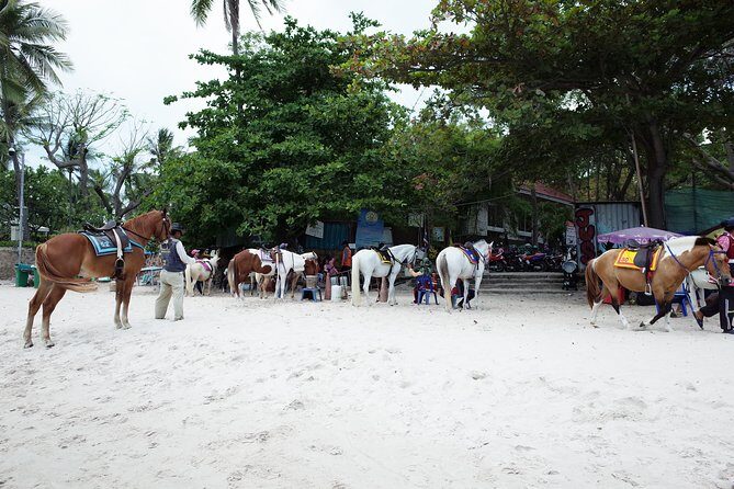 Hua Hin customize day tour - Authentic Testimonials and Practical Tips