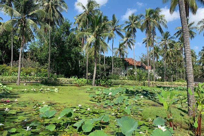 Hua Hin customize day tour - The Practical Side: Transportation, Cost, and Comfort