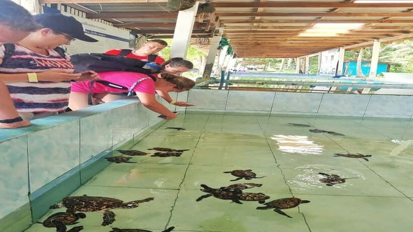 Hua Hin: Koh Talu Snorkeling with Lunch for 2 or More People - A Detailed Look at the Koh Talu Snorkeling Tour