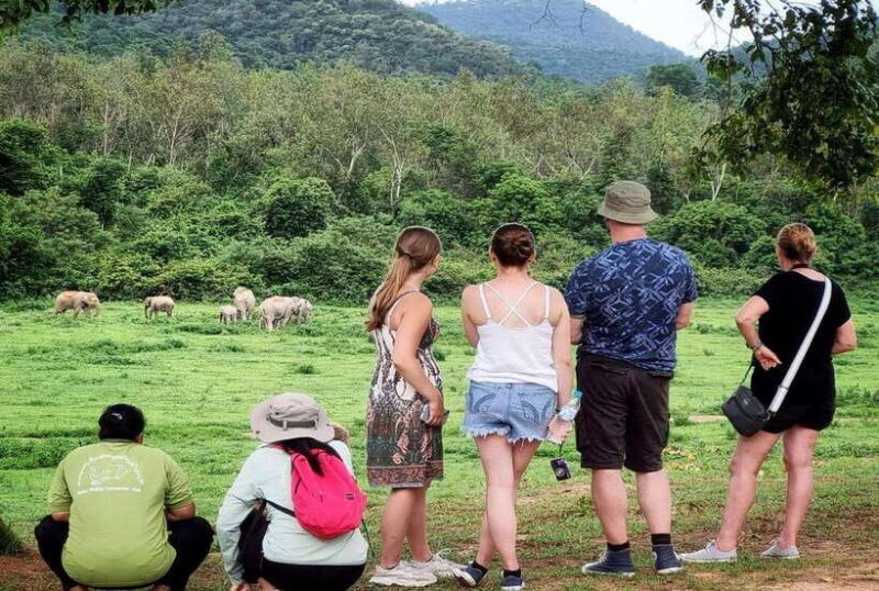 HUA HIN : Kui Buri Wild Elephant Watching (Private 4 pax up) - What Travelers Are Saying