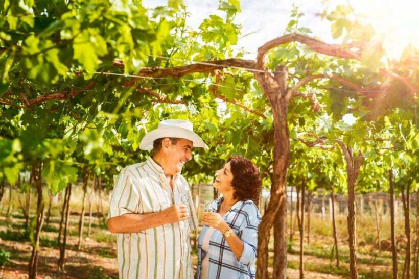 Huacachina:Private transport Tour with PiscoTasting & Sunset - The Full Experience: A Deep Dive into the Tour