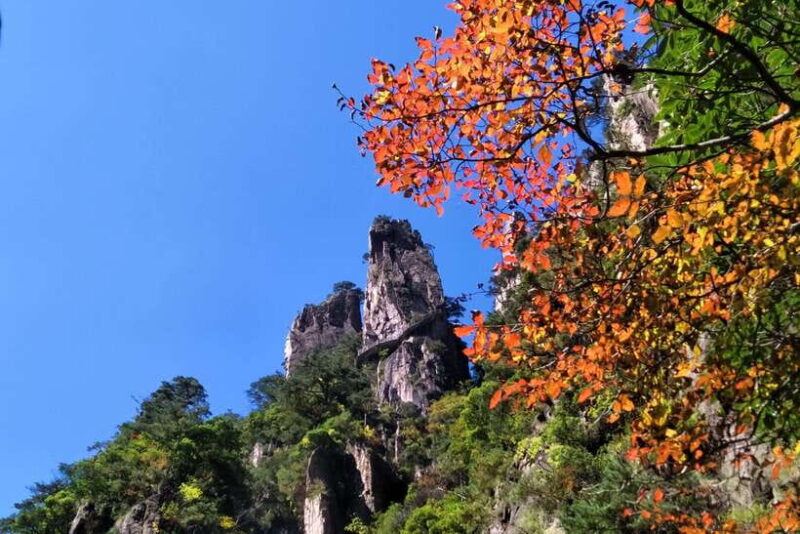 Huangshan: Mountain Top Day Trip with Cable Car and Pickup - Practical Tips for Your Visit