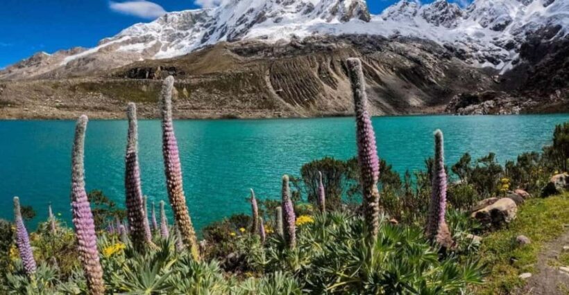 Huaraz: Rocotuyoc Lagoon - Frozen Lagoon | Hiking | - What to Expect on This Tour