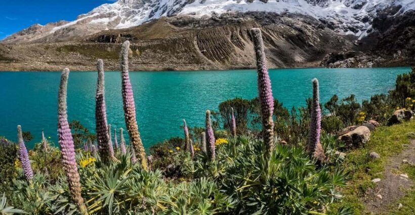 Huaraz: Rocotuyoc Lagoon - Frozen Lagoon | Trekking | - Key Points