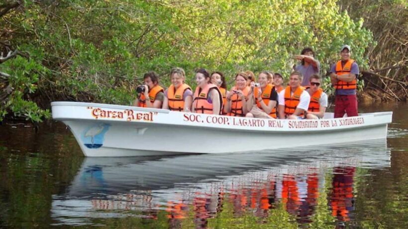 Huatulco Ecotour: Explore La Ventanilla, Mazunte & Zipolite - Exploring La Ventanilla: The Eco-Treasure of the Coast