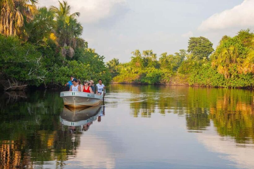 Huatulco Ecotour: Explore La Ventanilla, Mazunte & Zipolite - Zipolite: The Bohemian Beach Haven