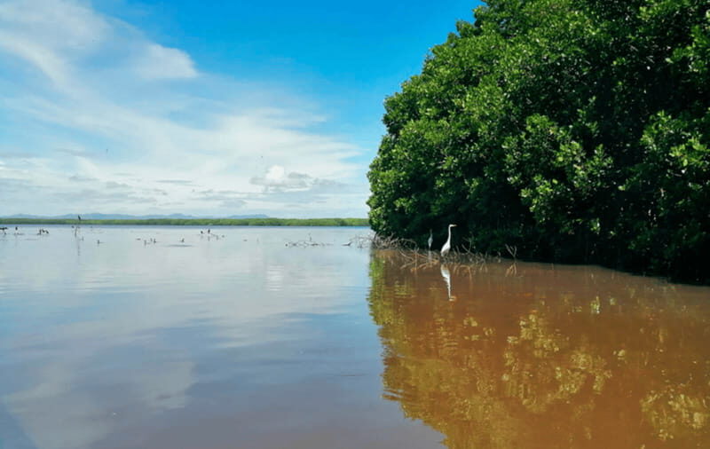 Huatulco: Laguna de Chacahua Exploration - Discovering Chacahua Lagoon: An Authentic Eco-Adventure