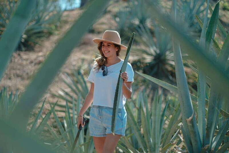 Huatulco: Mezcal and Gastronomic Tour - An In-Depth Look at the Huatulco: Mezcal and Gastronomic Tour