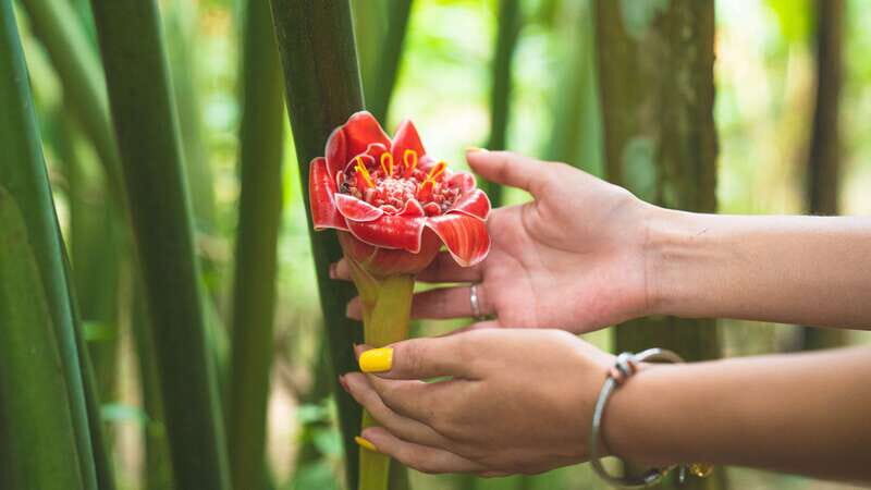 Huatulco: Nature Park with Fruit Tasting & Optional Zipline - Key Points