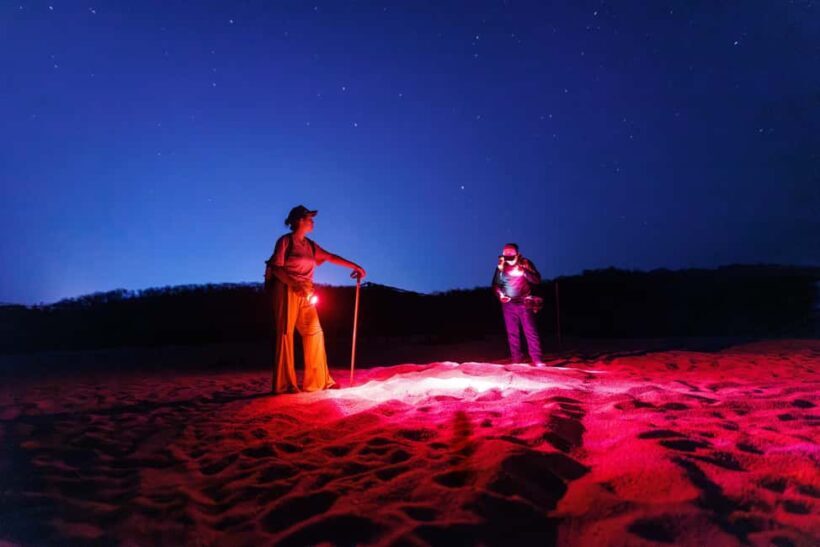 Huatulco: Nighttime Sea Turtle Monitoring guided by a biologist - An Introduction to the Experience
