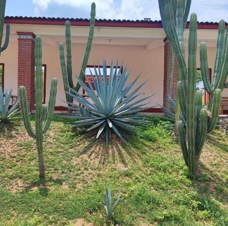 Huatulco: Private Mezcal Factory Experience - A Closer Look at the Tour Experience