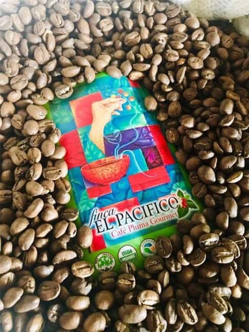Huatulco: Santa Maria and Pluma Hidalgo Coffee Tour - Why This Tour Is Worth Considering