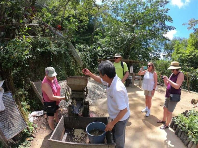 Huatulco: Santa Maria and Pluma Hidalgo Coffee Tour - FAQ