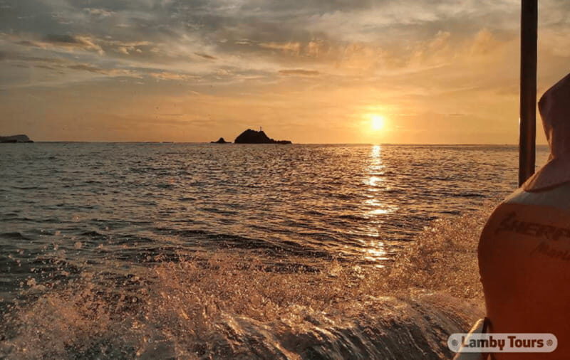 Huatulco: Sunrise Dolphin Watching with Beach Visit - Key Points