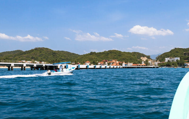 Huatulco: Sunrise Dolphin Watching with Beach Visit - The Experience in Detail
