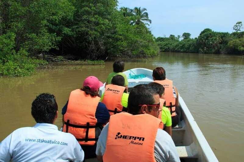 Huatulco: Turtles & Crocs Experience - Final Thoughts: Is It Worth It?