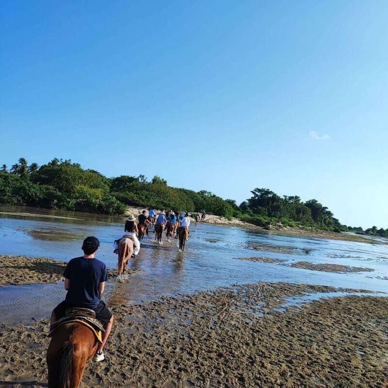 Huatulco:Turtle release,horseback riding and bioluminescence - An In-Depth Look at the Tour Itinerary