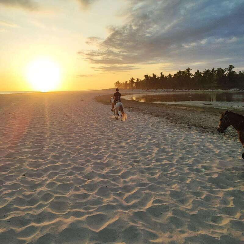 Huatulco:Turtle release,horseback riding and bioluminescence - Describing Each Experience: What Travelers Can Expect
