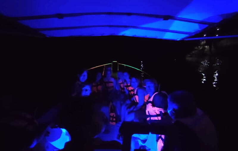 Huatulco:Turtle release,horseback riding and bioluminescence - Real Traveler Insights