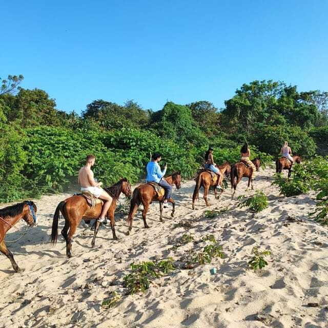 Huatulco:Turtle release,horseback riding and bioluminescence - FAQ